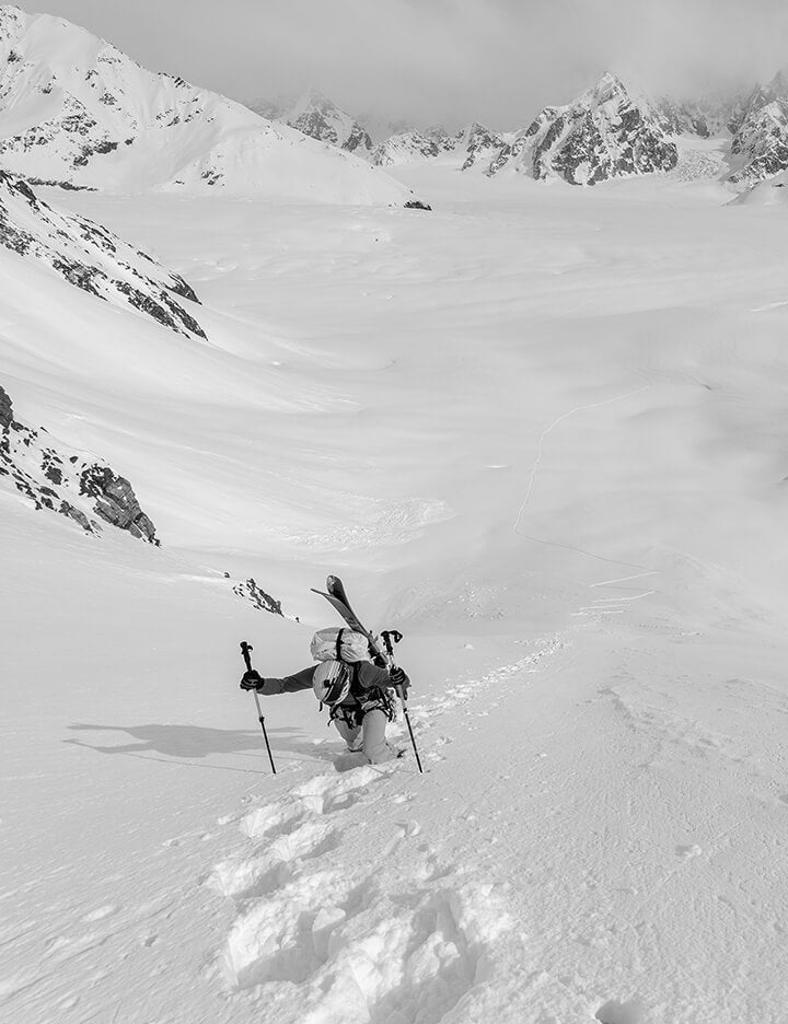 Wildcat Tour 108 - 24/25 - Moment Skis