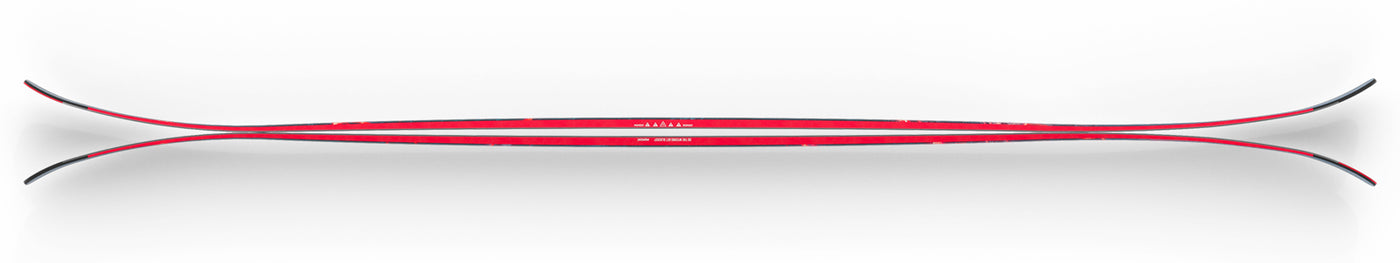 Wildcat 101 - 25/26 - Moment Skis